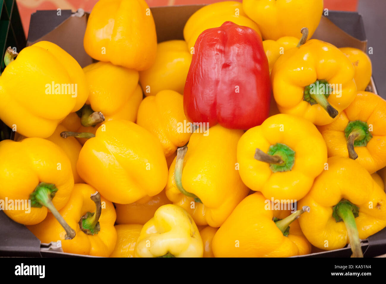colorful bell peppers, natural background Stock Photo - Alamy