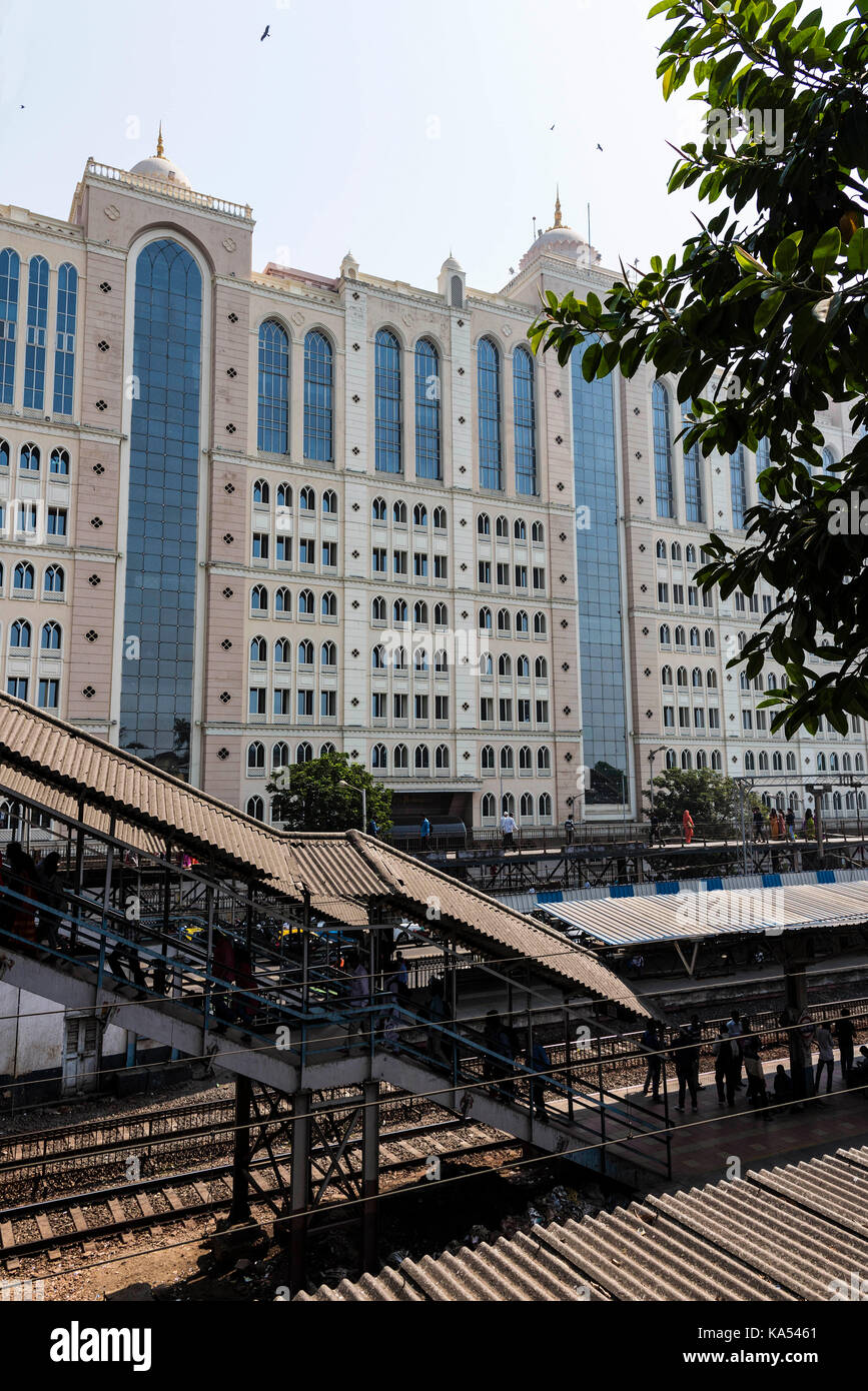 Saifee Hospital Mumbai Logo