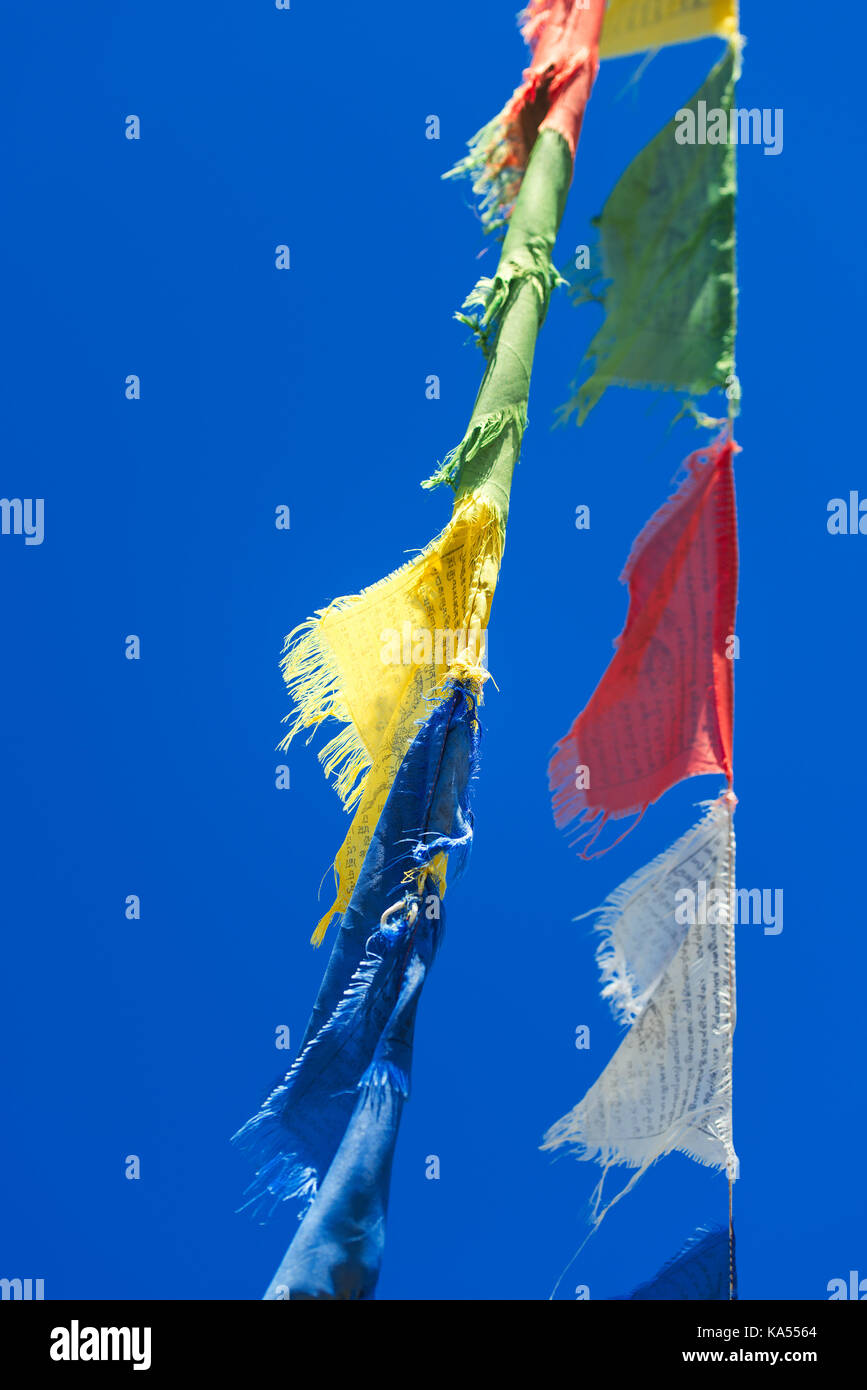 Vertical rows of colorful Tibetan Buddhist prayer flags waving in the ...