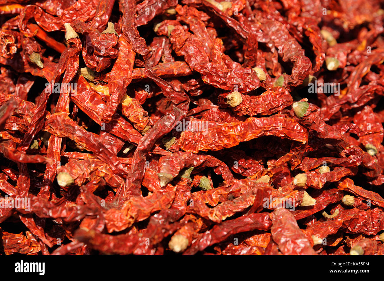 indian spices dried red chilli, mumbai, maharashtra, India, Asia Stock ...