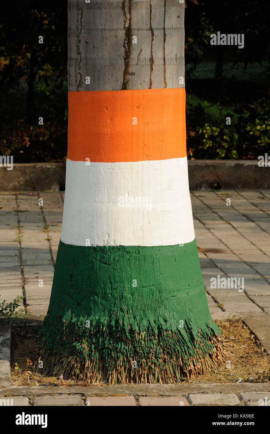 Flag of India colors painted on palm tree trunk, Udvada, Pardi taluka ...