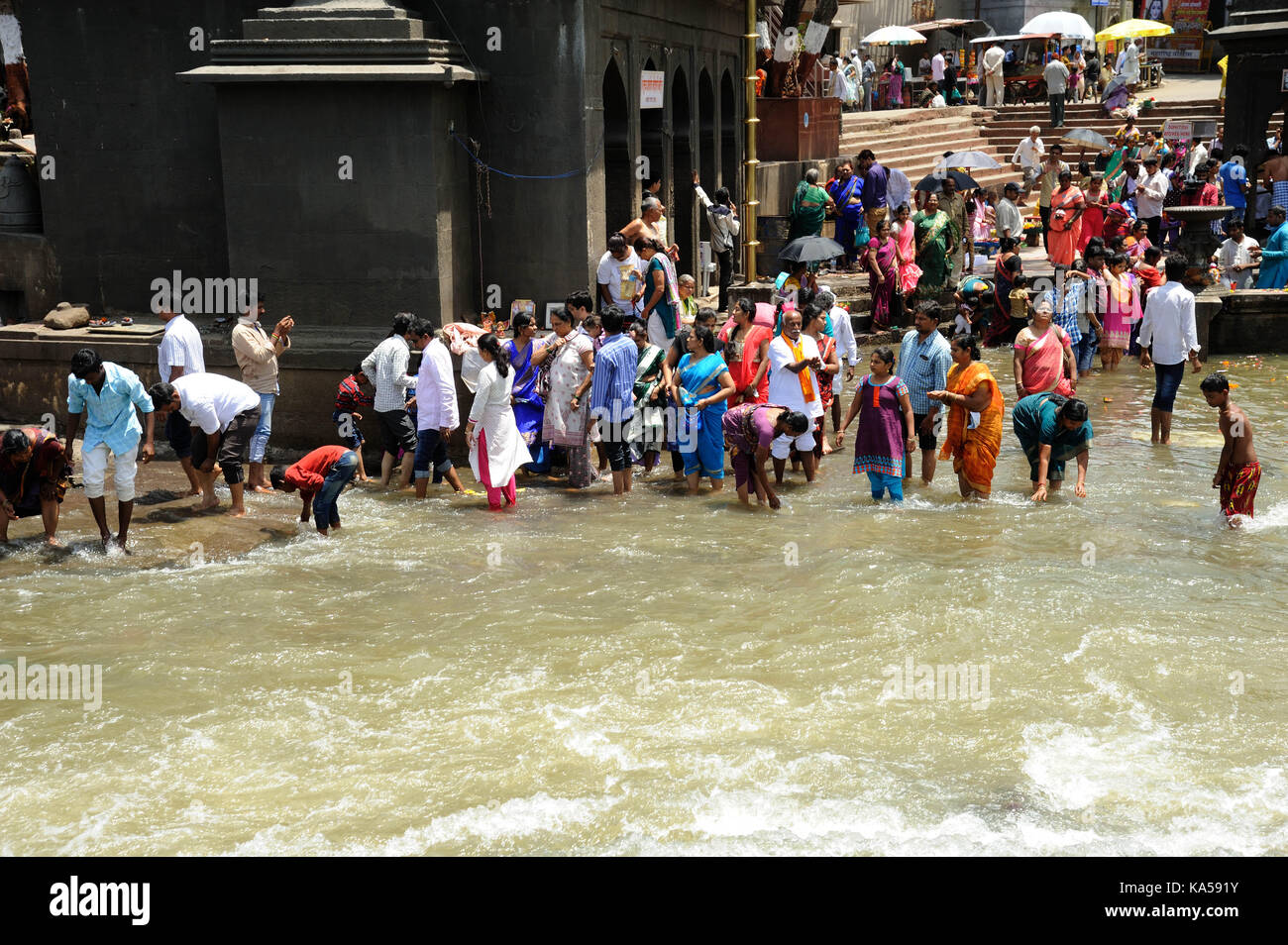 devotees taking holy bath in godavari river, nashik, maharashtra, India ...