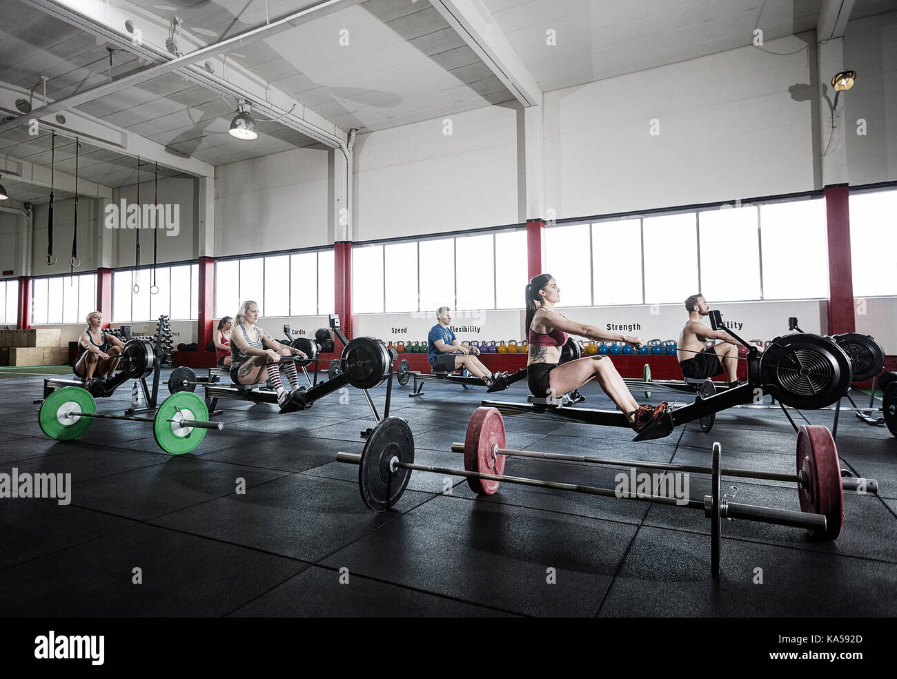 Female And Male Athletes Using Rowing Machine Stock Photo - Alamy
