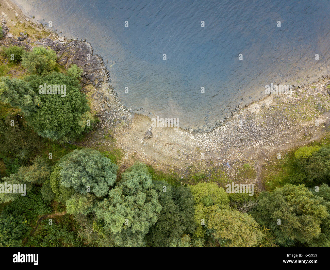 Birds eye view of trees hi-res stock photography and images - Alamy