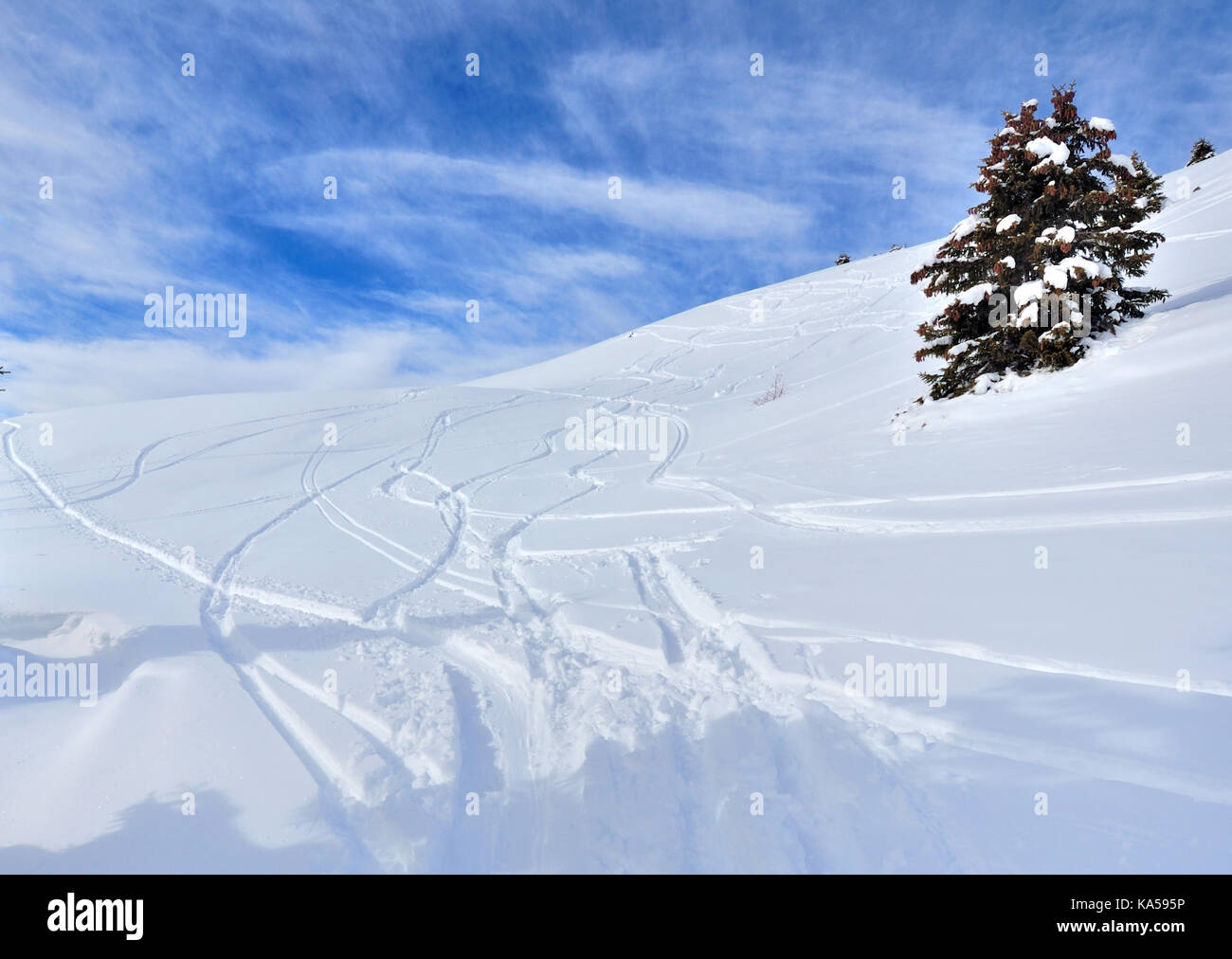ski trail in the snow Stock Photo - Alamy