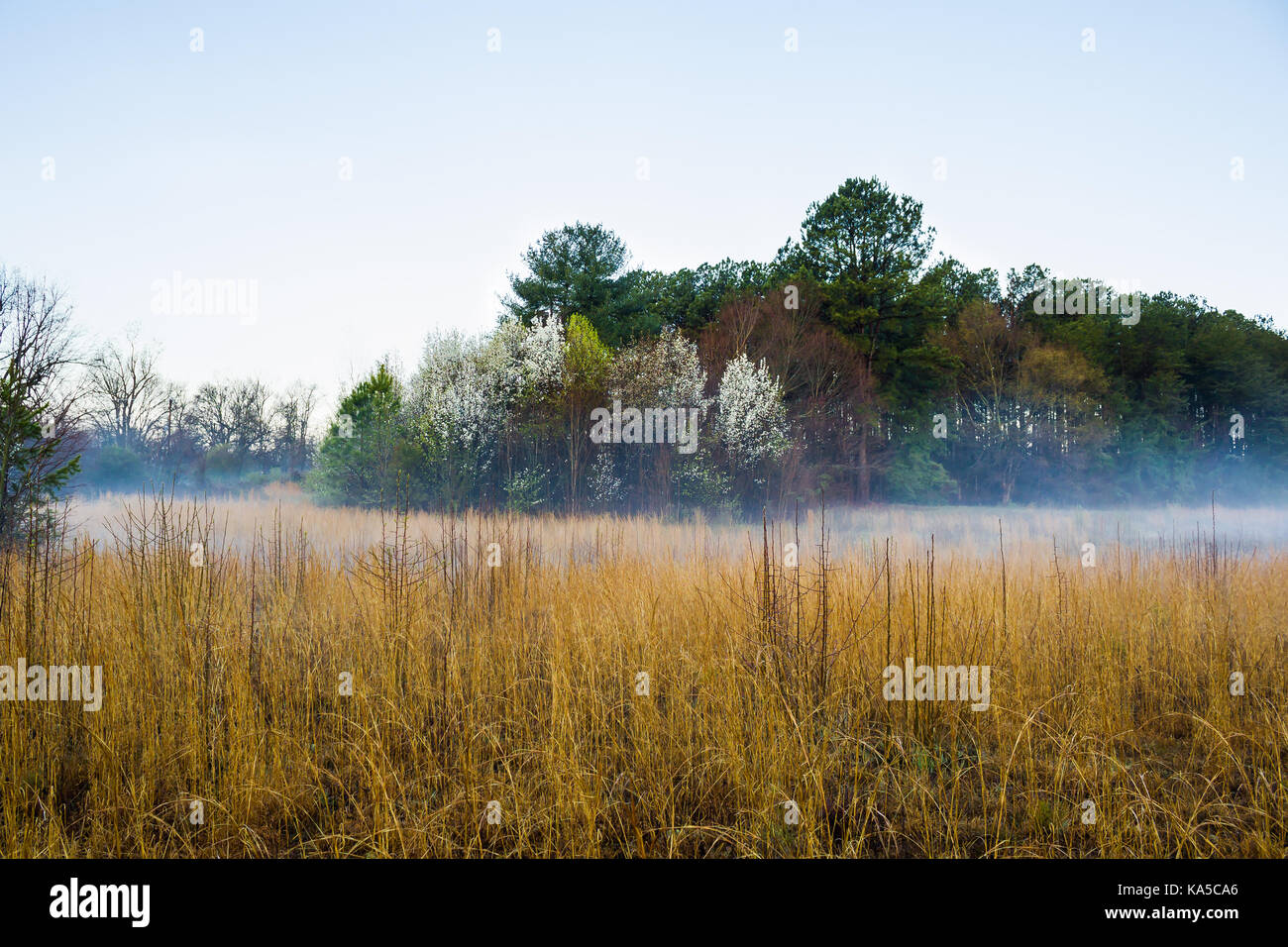 Early blue fog hi-res stock photography and images - Alamy