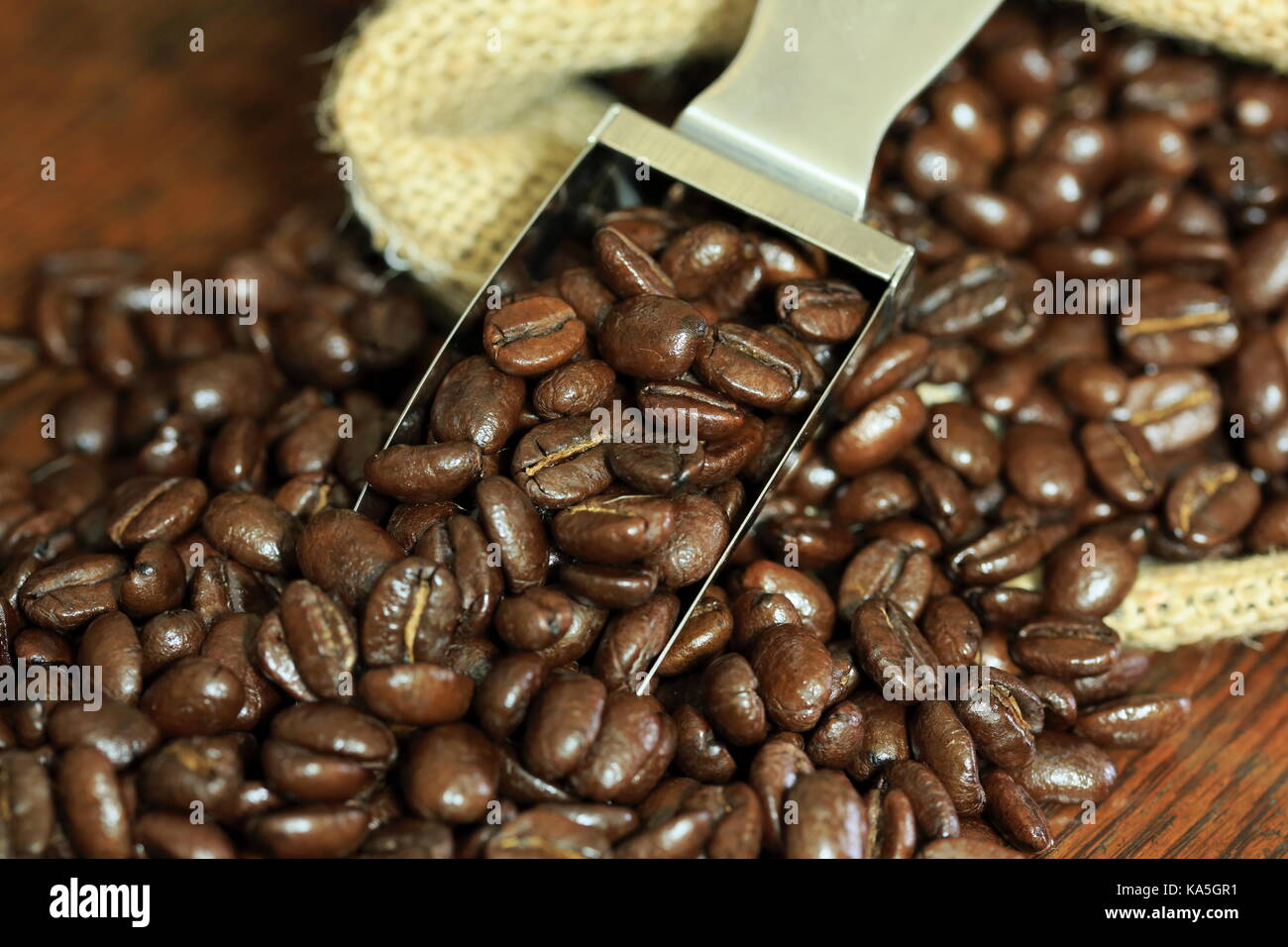 Arabica coffee beans on hi-res stock photography and images - Alamy