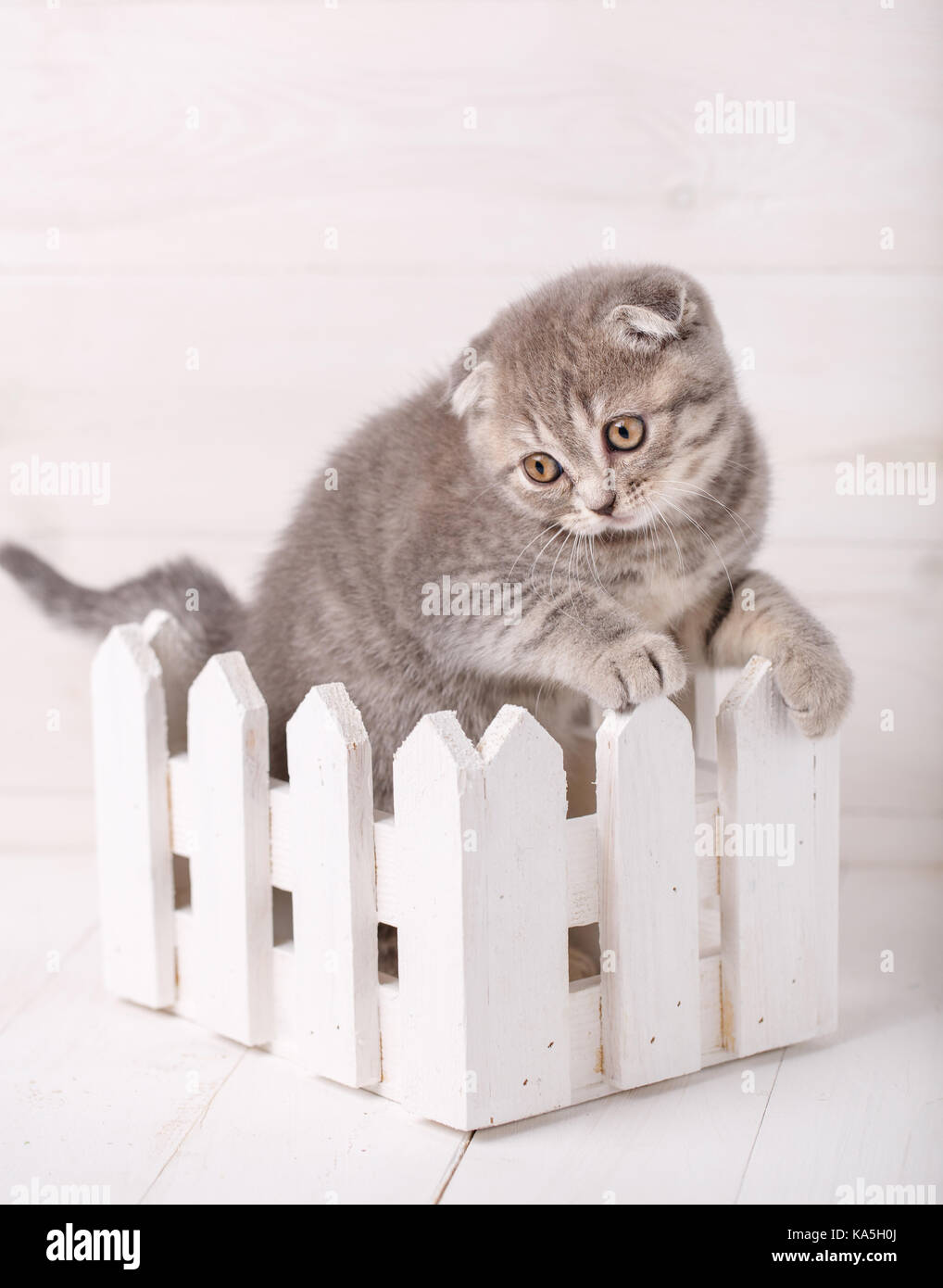 Playing in box hi-res stock photography and images - Alamy