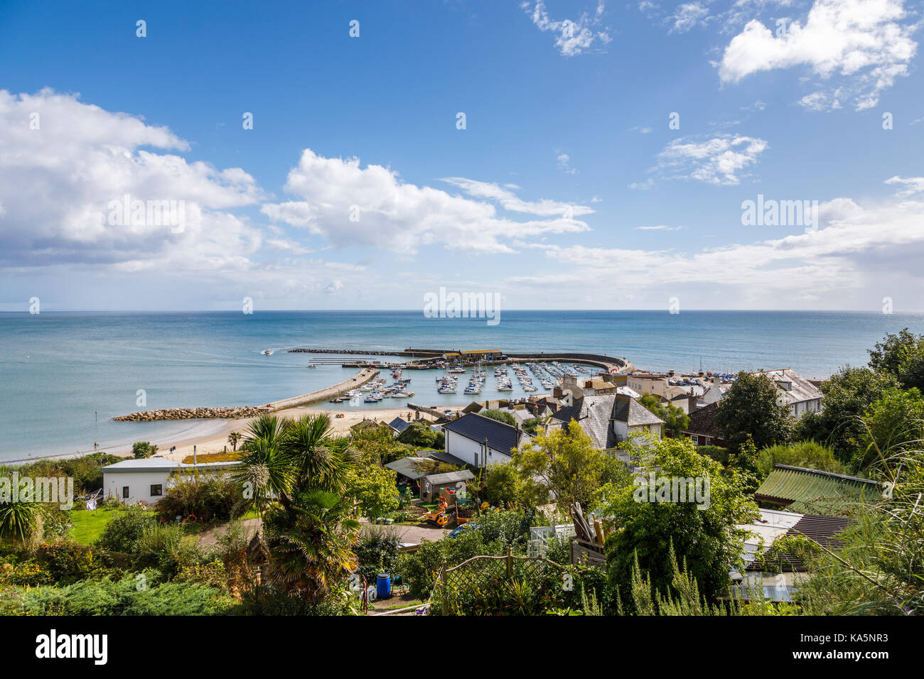 Lyme bay hi-res stock photography and images - Alamy
