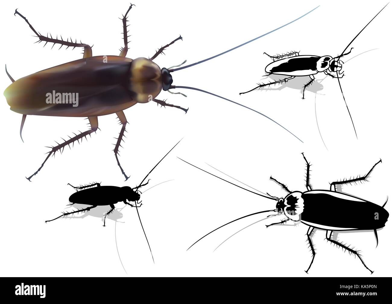 Insect disinfestation Stock Vector Images - Alamy