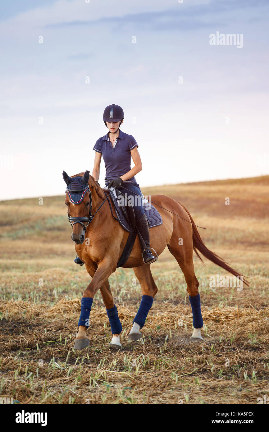 Equestrian woman hi-res stock photography and images - Alamy