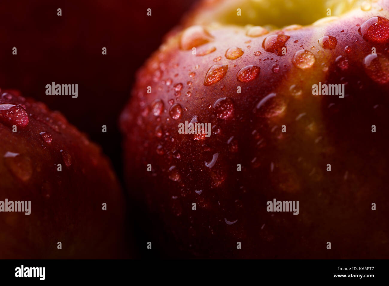 Fresh peaches with water drops. Close up, macro foto Stock Photo - Alamy