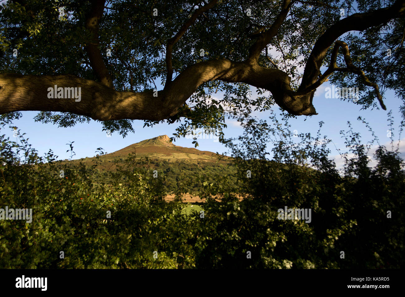 Roseberry Topping, North Yorkshire Stock Photo - Alamy