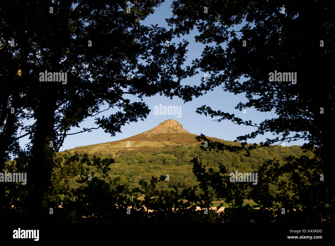 Roseberry Topping, North Yorkshire Stock Photo - Alamy