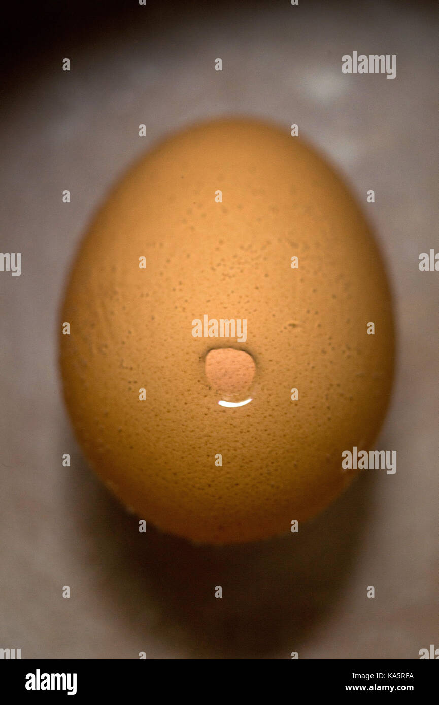 Boiling egg hi-res stock photography and images - Alamy