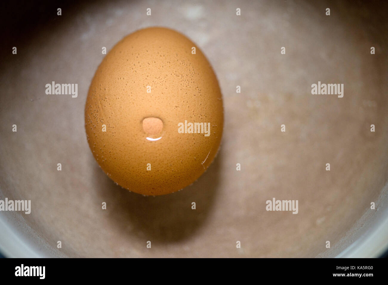 Boiling egg hi-res stock photography and images - Alamy