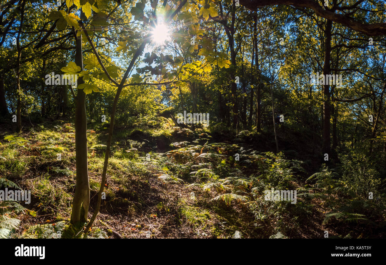 Witherslack hi-res stock photography and images - Alamy