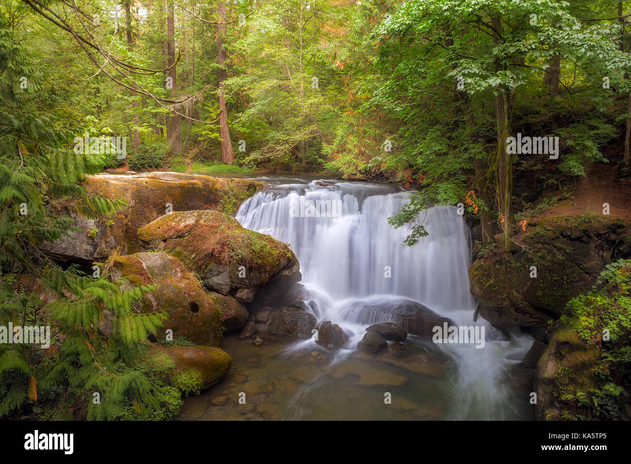 Whatcom county park hi-res stock photography and images - Alamy
