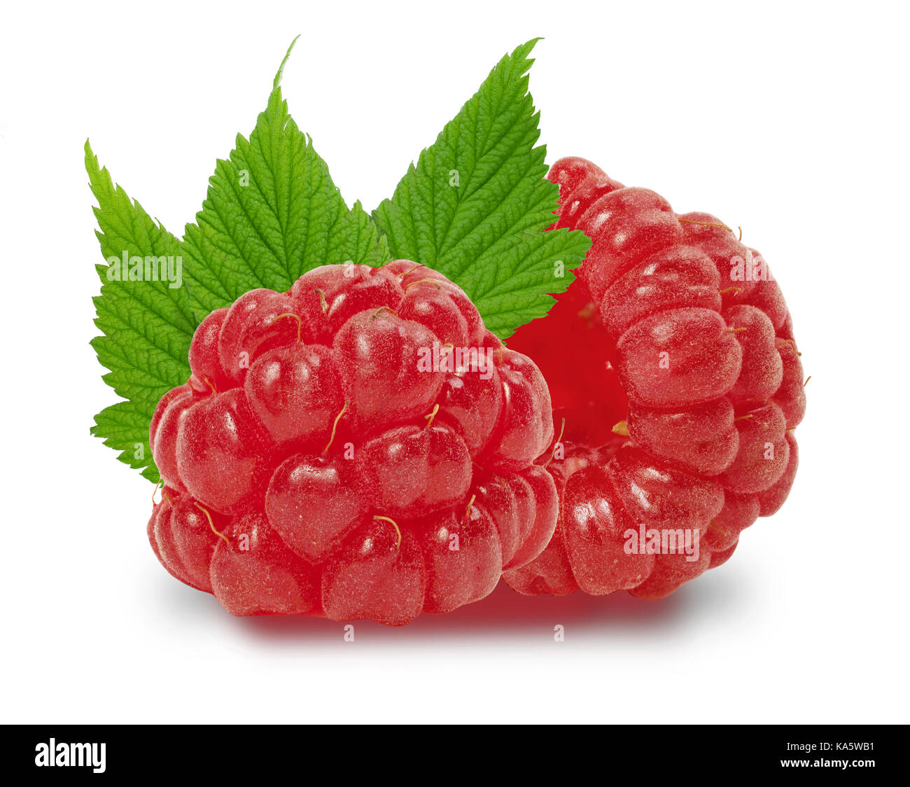 Raspberry with leaves isolated on white background Stock Photo - Alamy