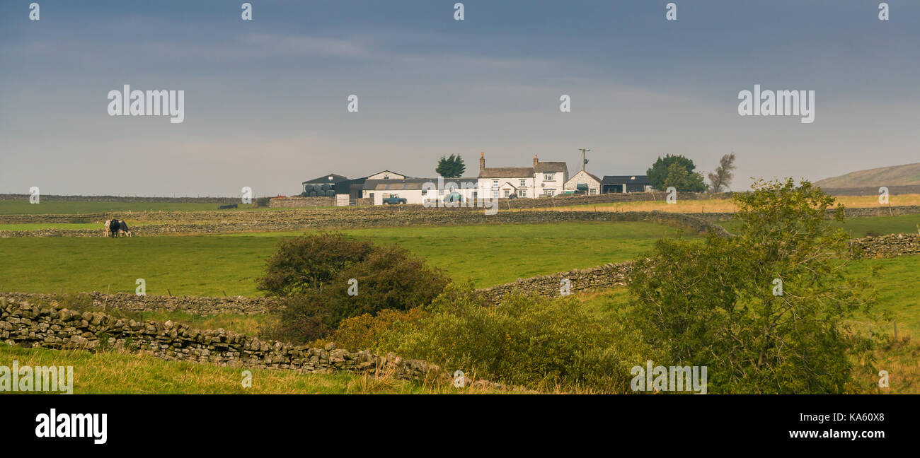 North Pennines Landscape, Wool Pits Hill farm, Upper Teesdale, UK in ...