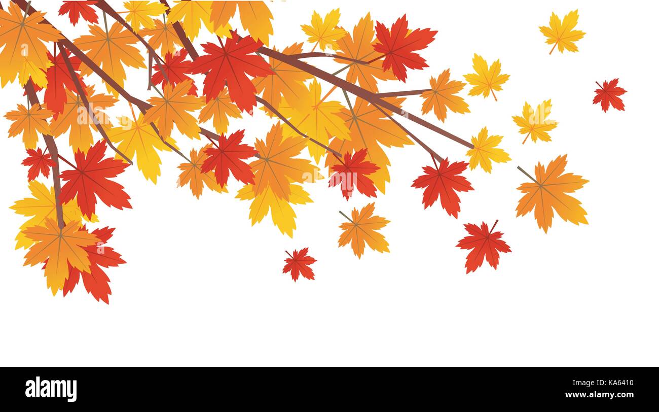 Autumn leaves vector illustration Stock Vector Image & Art - Alamy