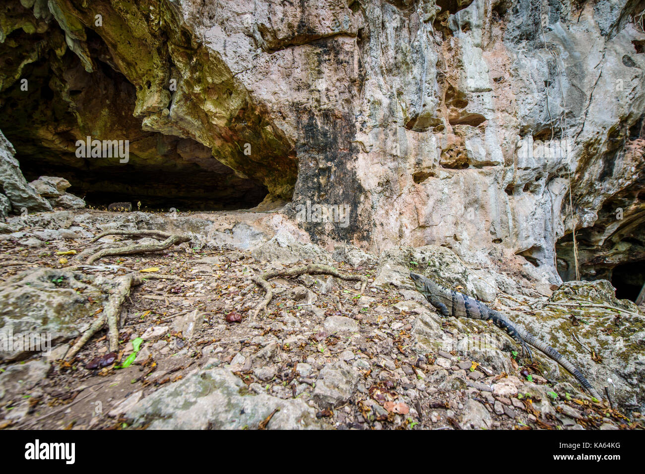 Loltun caves. Yucatán. Mexico Stock Photo - Alamy