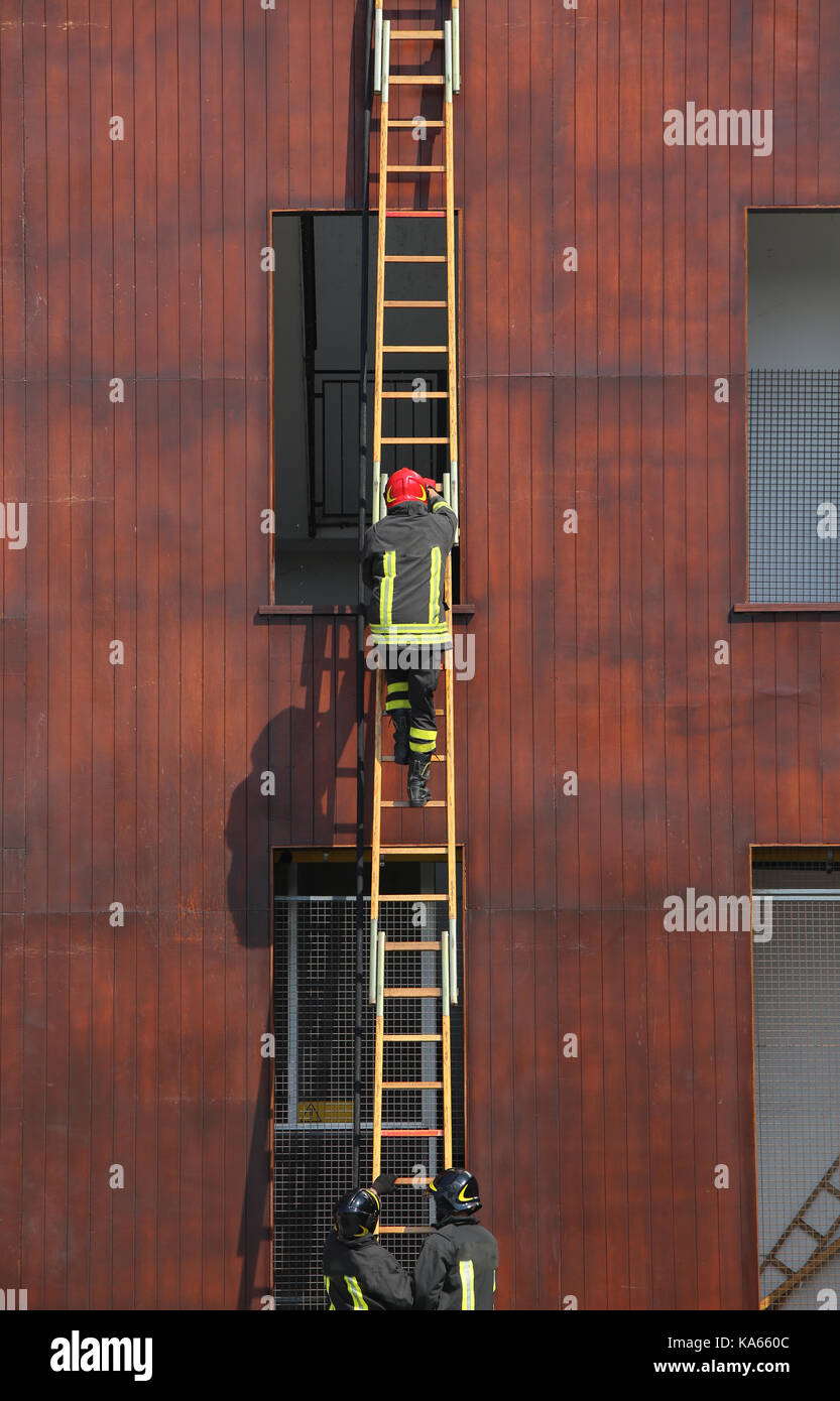 firefighters during a long ladder exercise and the fire brigade ...
