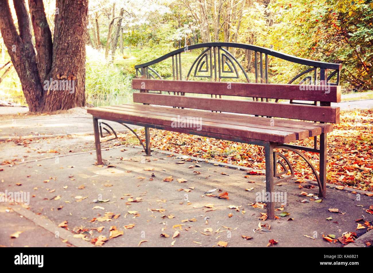 A bench in an autumn park. Many fallen leaves are yellow and red Stock ...