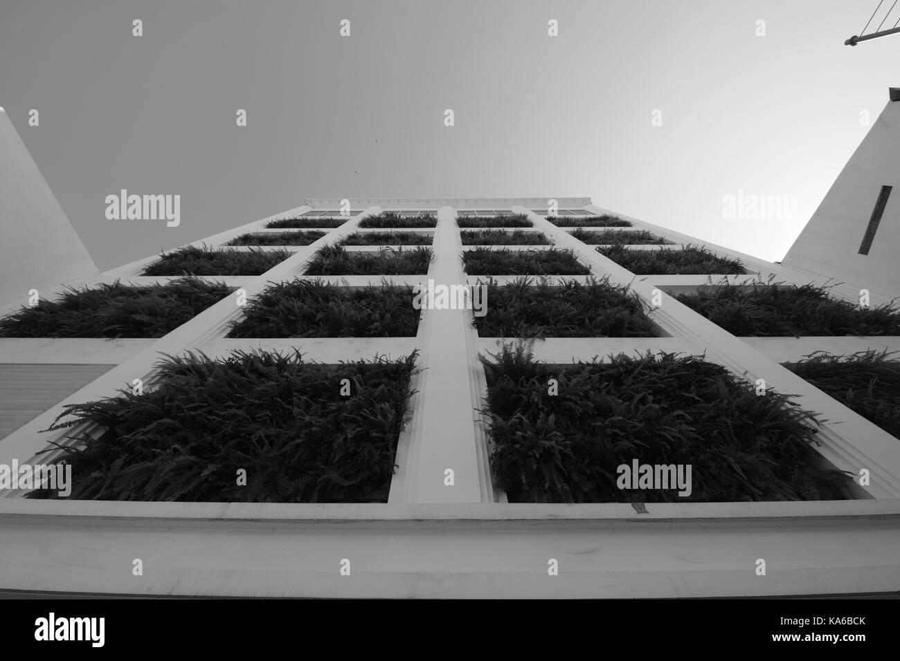 Bnw photography art hi-res stock photography and images - Alamy