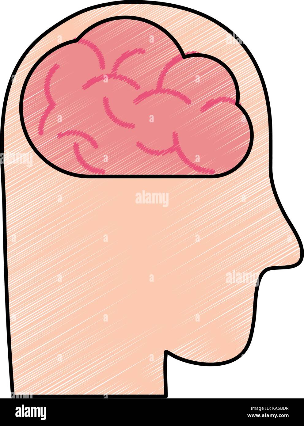 medical human brain Stock Vector Image & Art - Alamy