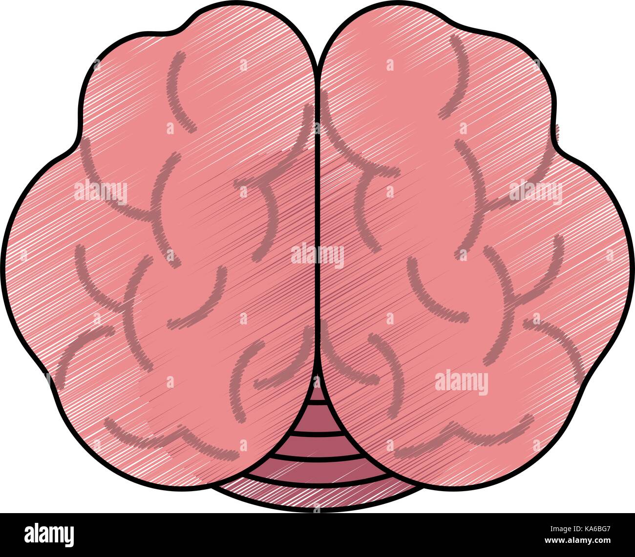 medical human brain Stock Vector Image & Art - Alamy