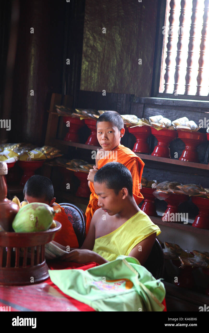 Mongoloid people hi-res stock photography and images - Alamy