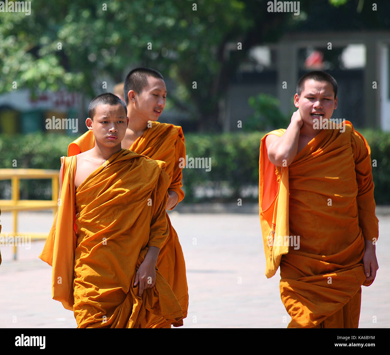 Daily life in a Buddhist monastery. The monks go to the city to collect ...