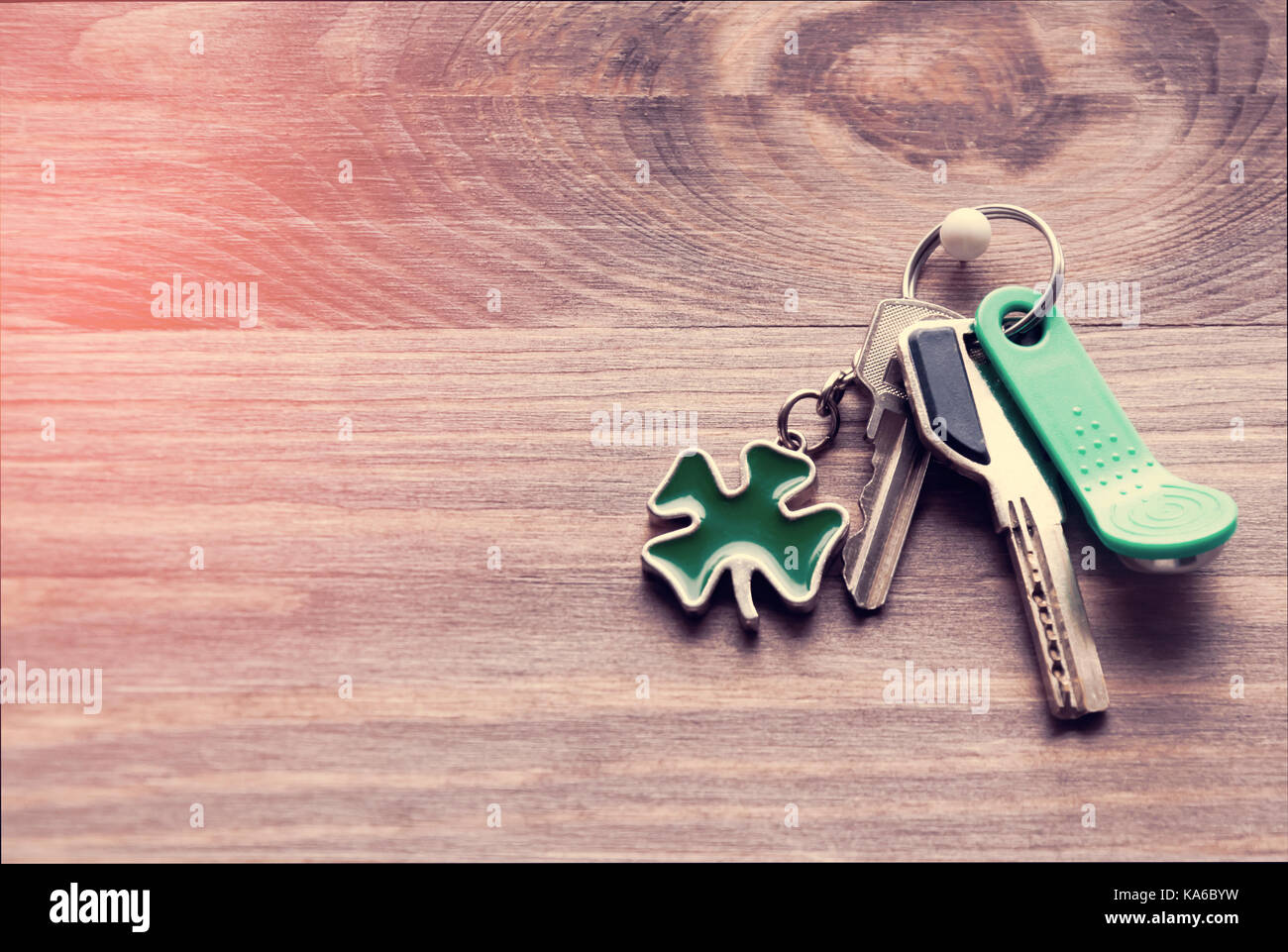 Set of metal and magnetic keys with a keyring-shaped clover leaf in ...