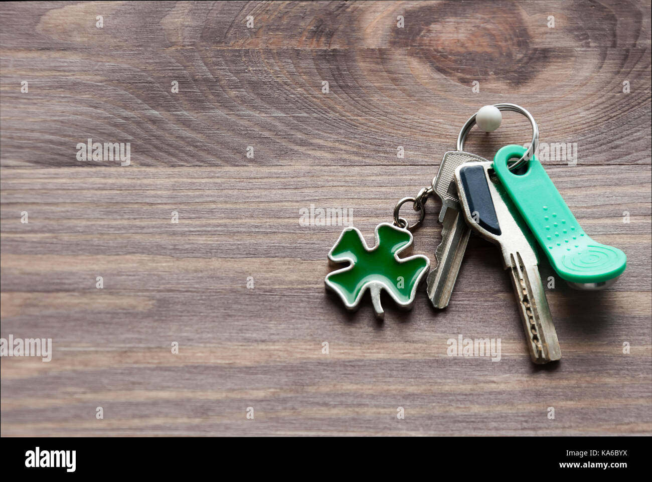 Set of metal and magnetic keys with a keyring-shaped clover leaf in ...