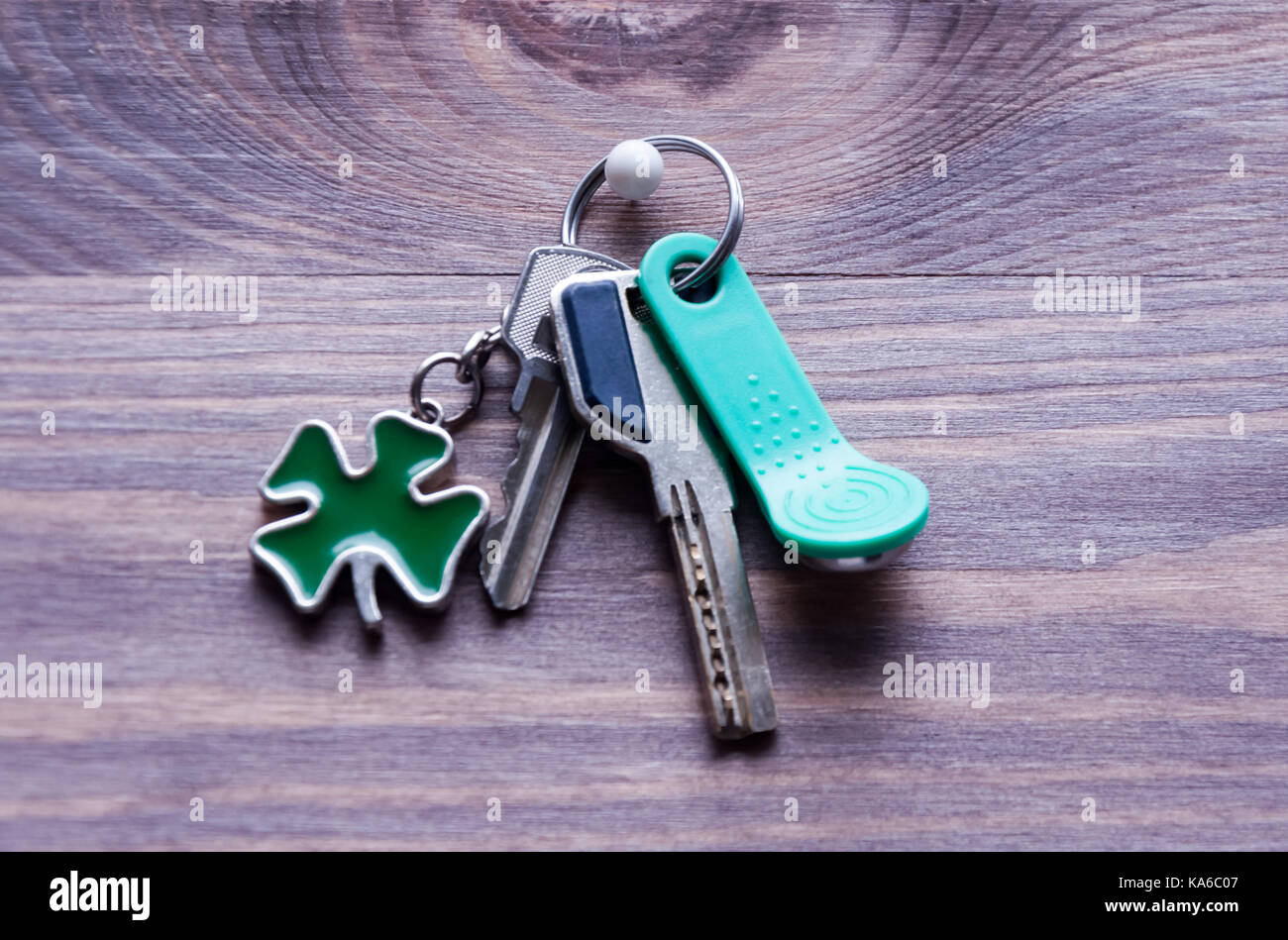 Set of metal and magnetic keys with a keyring-shaped clover leaf in ...
