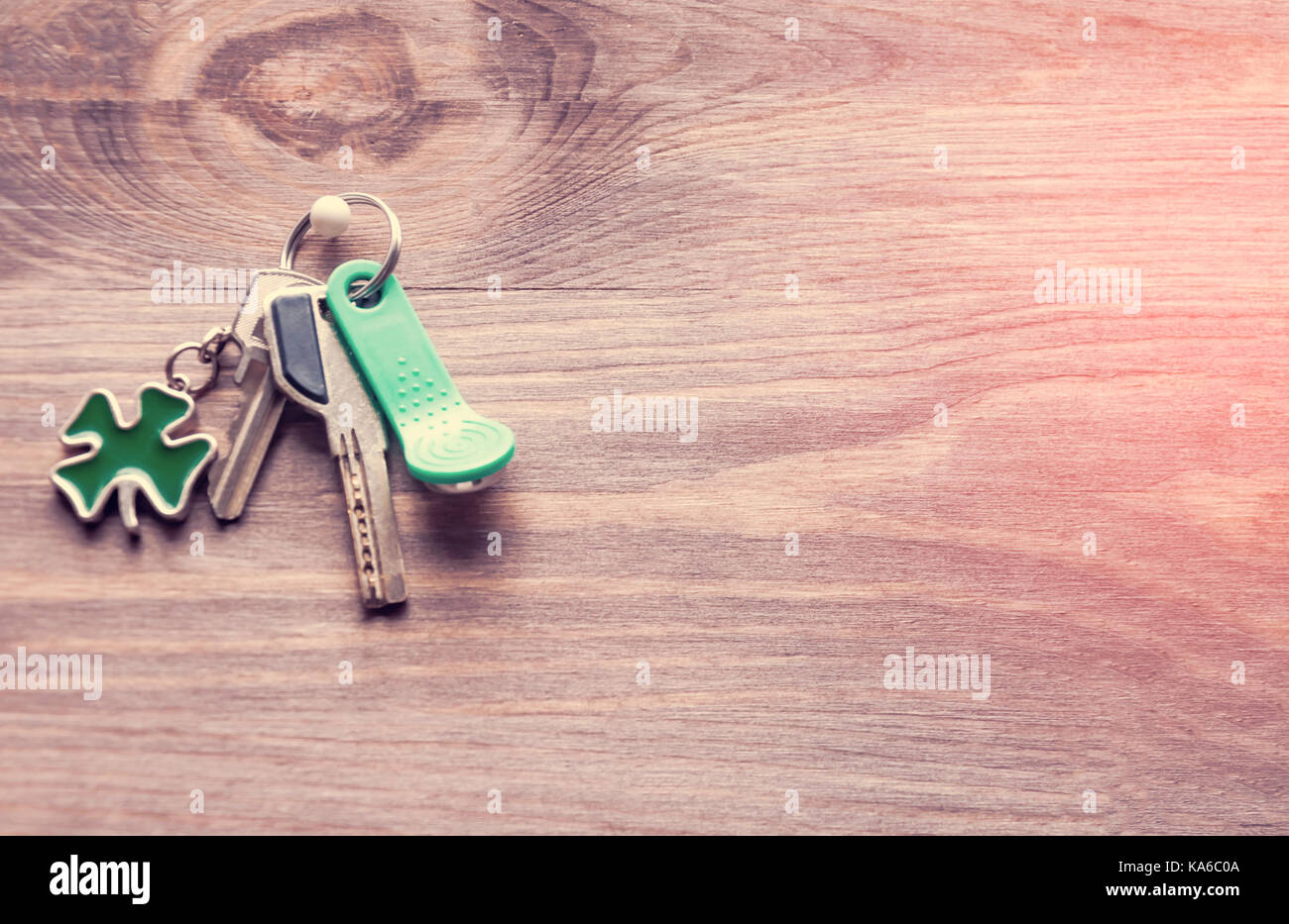 Set of metal and magnetic keys with a keyring-shaped clover leaf in ...