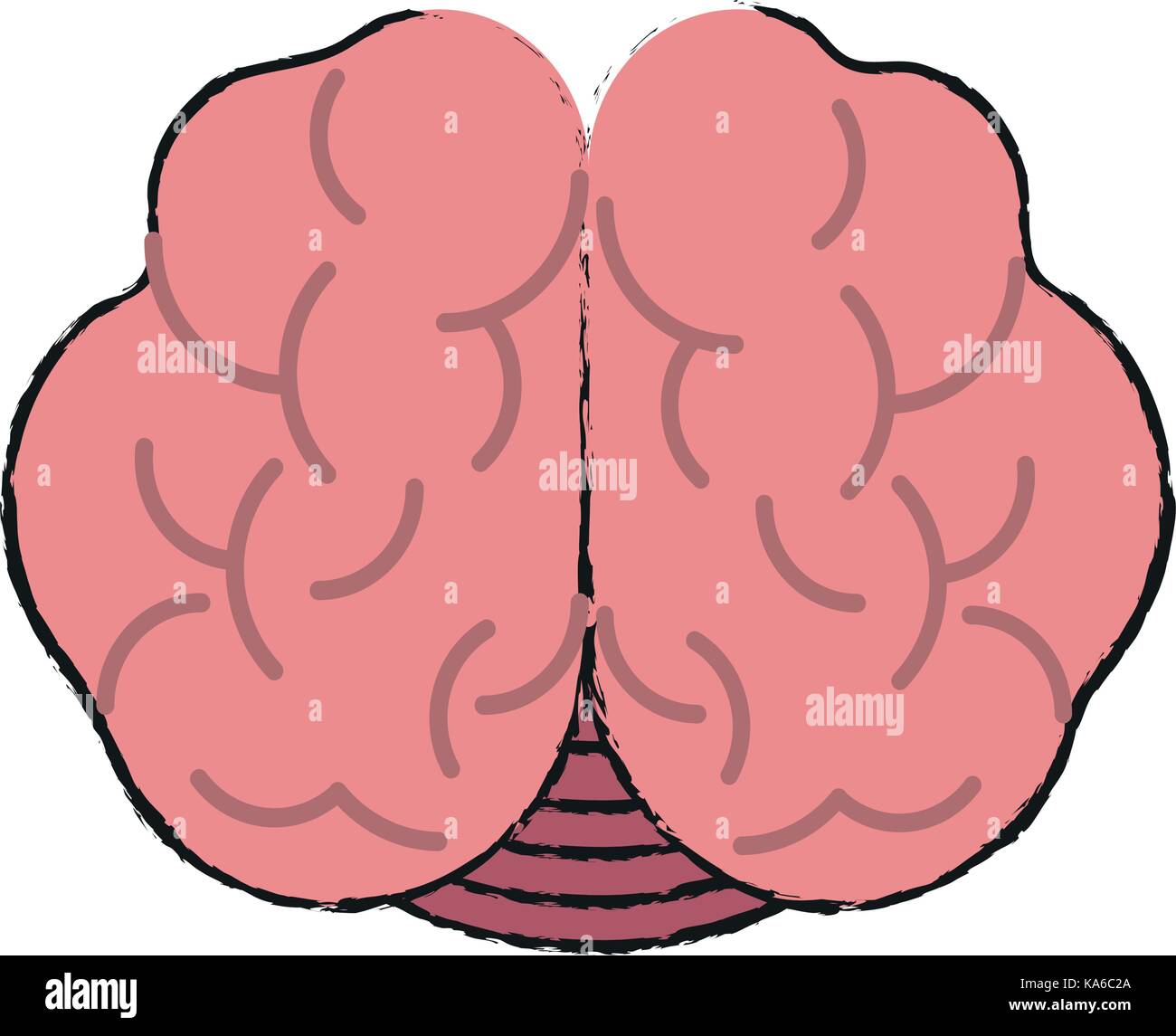 medical human brain Stock Vector Image & Art - Alamy
