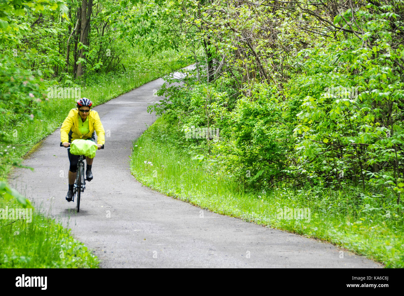 A female touring cyclist cycling on a cycle path through lush green ...