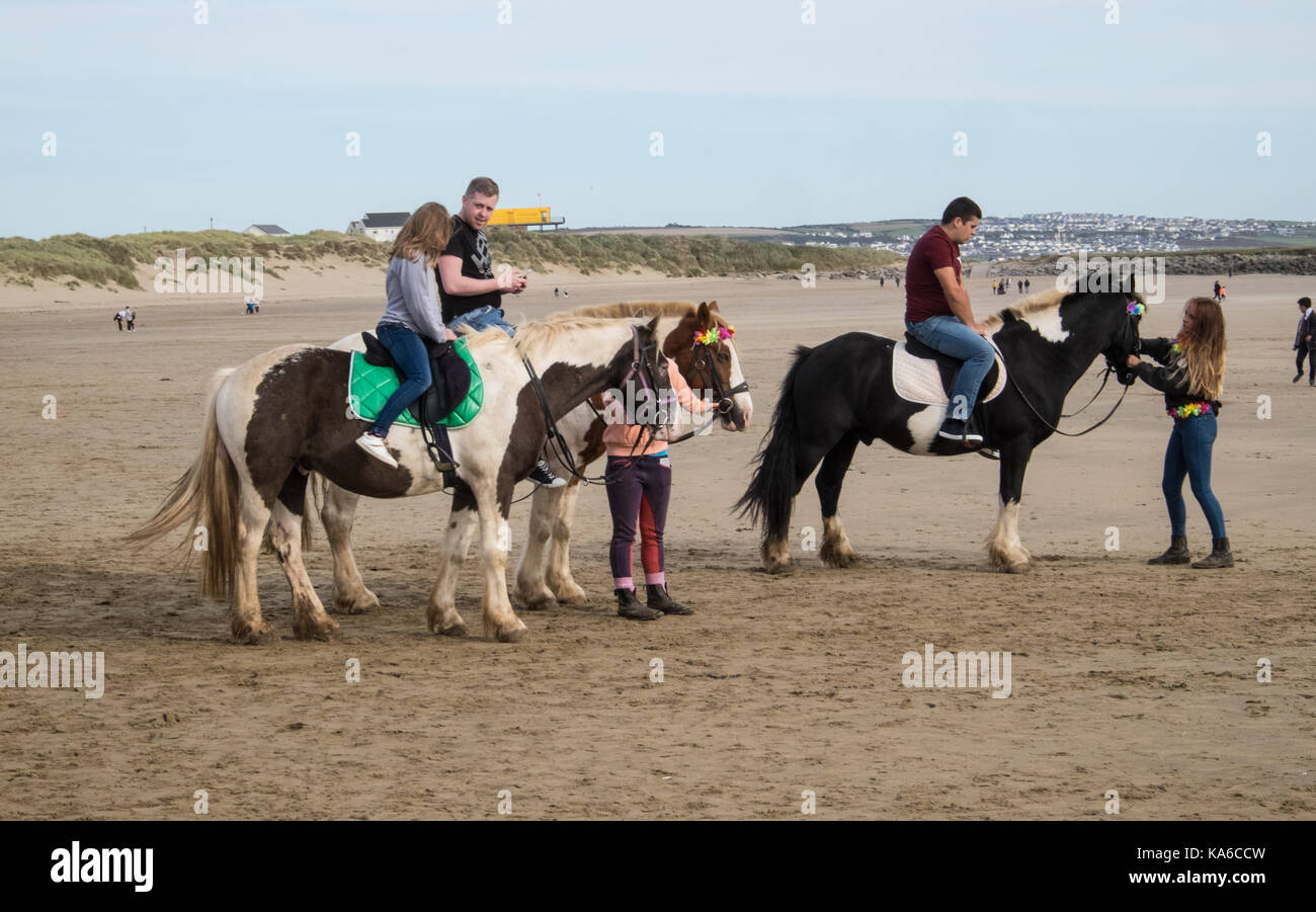 Donkey,donkeys,ride,rides,riding,Sandy Bay,Beach,Coney Beach Fair,coast ...