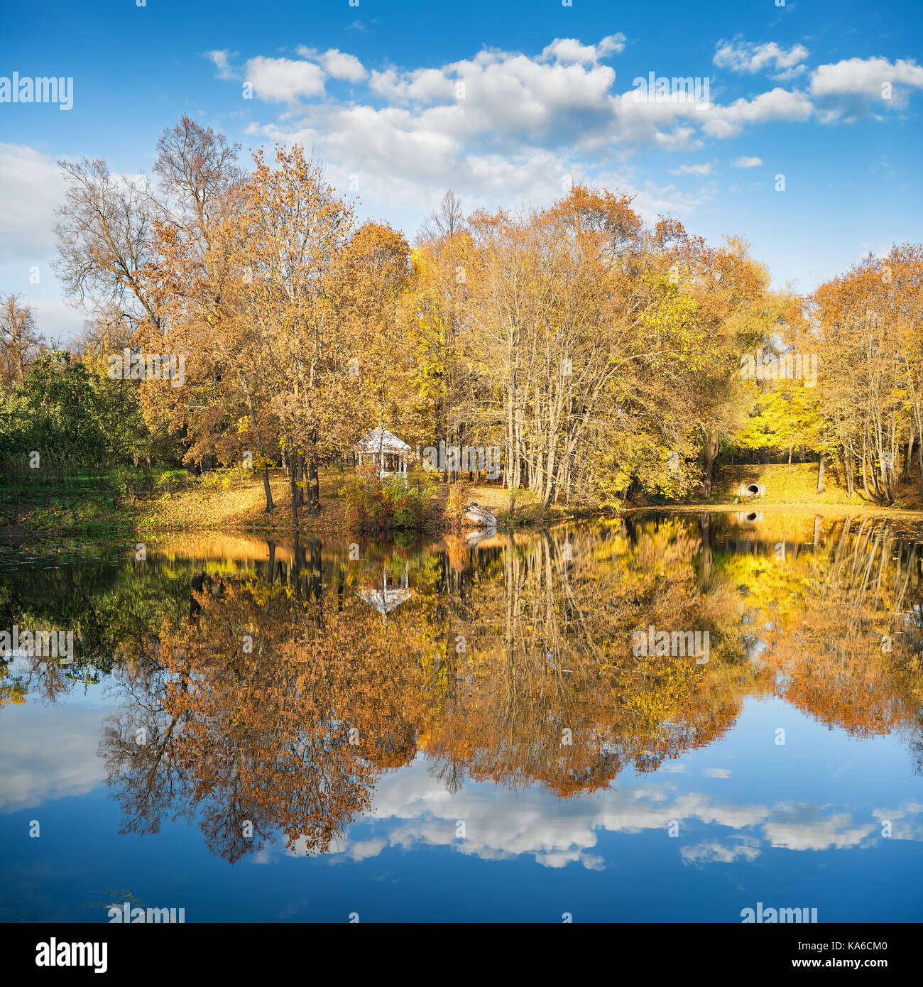 Sunny autumn in the park over lake Stock Photo - Alamy