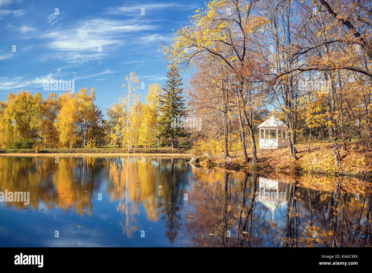 Sunny autumn in the park over lake Stock Photo - Alamy