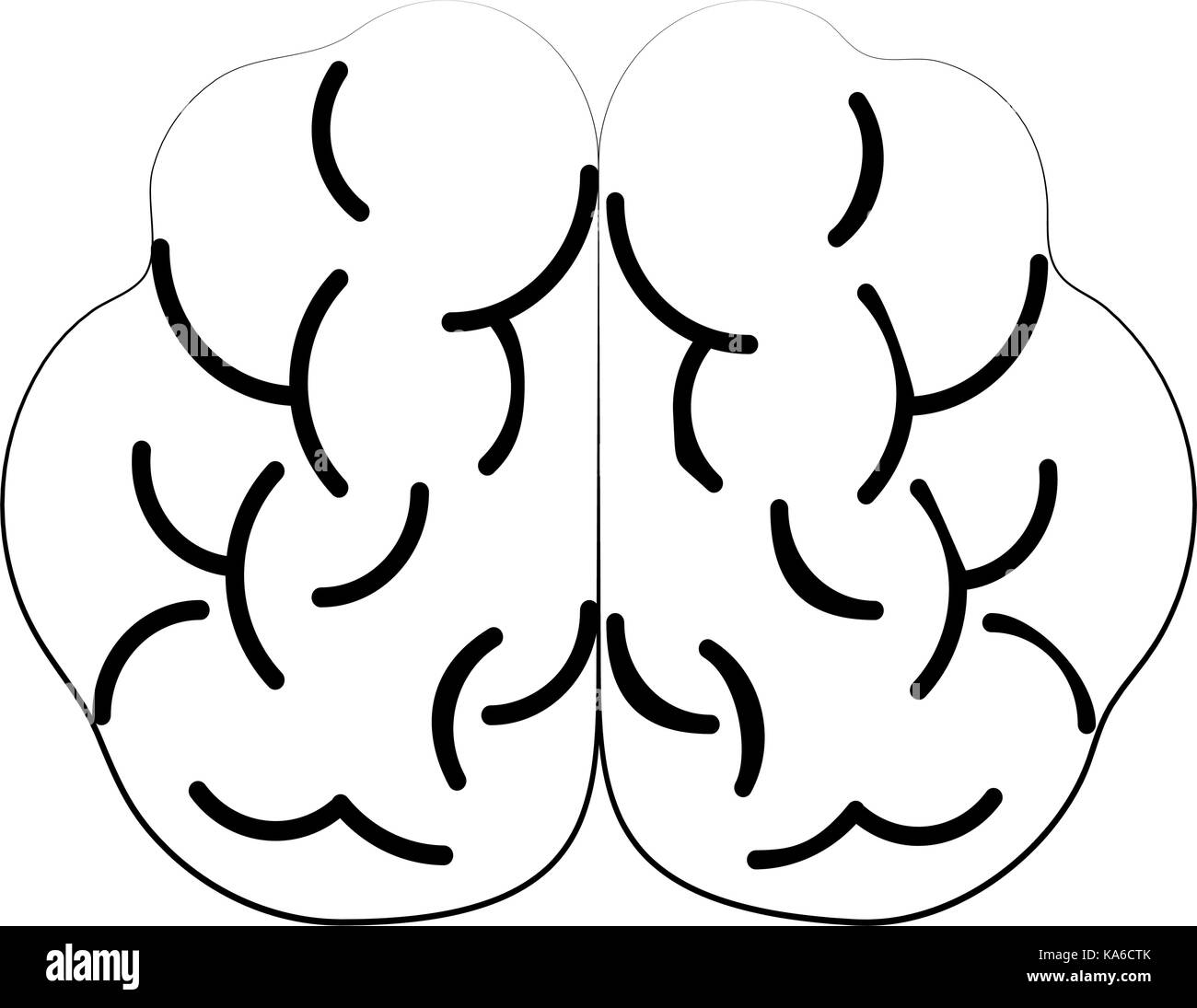medical human brain Stock Vector Image & Art - Alamy