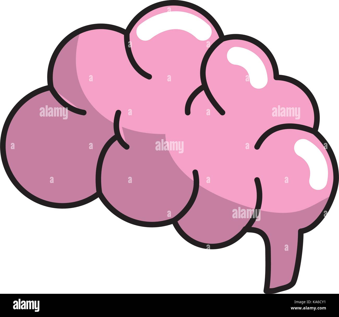side brain human anatomy organ of inteligence Stock Vector Image & Art ...