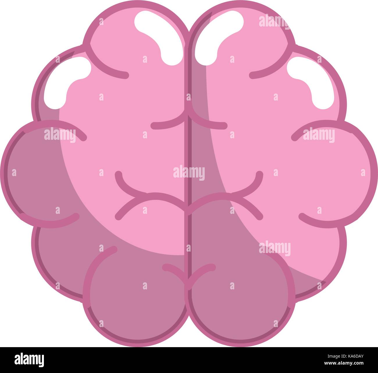brain human anatomy organ of inteligence Stock Vector Image & Art - Alamy