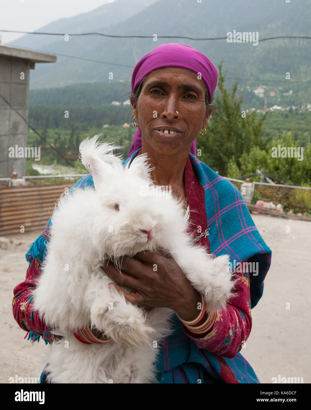 Rural residents in daily life. Hindu Woman with a white rabbit on hands ...