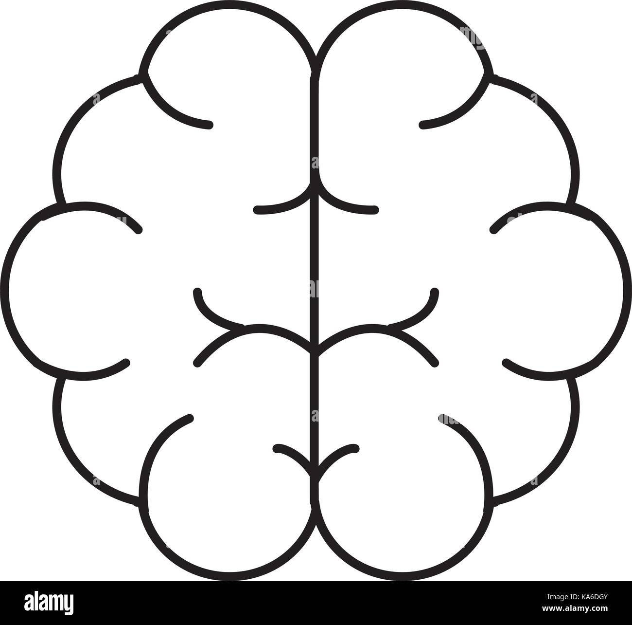 line brain human anatomy organ of inteligence Stock Vector Image & Art ...