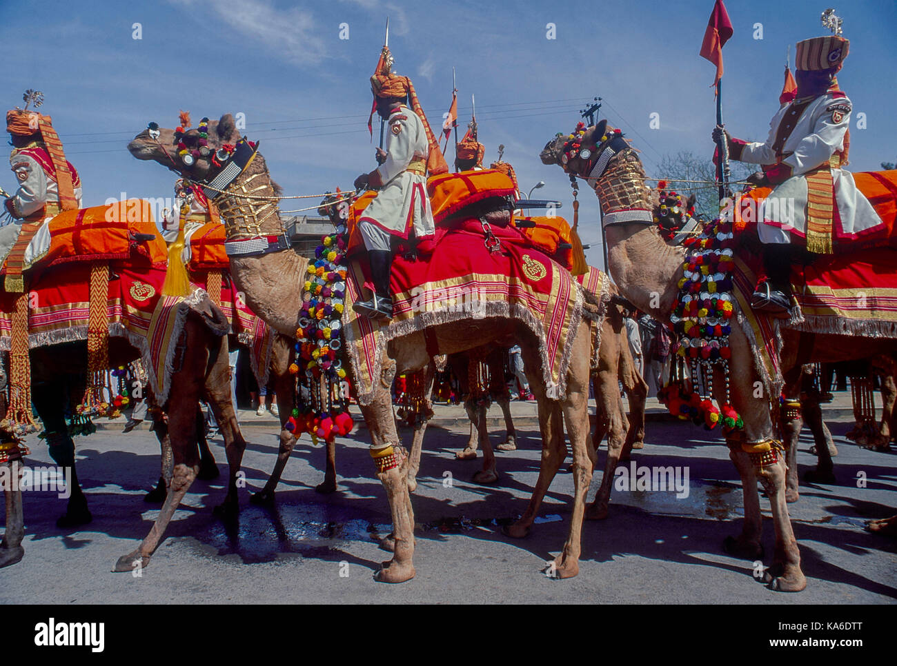 Camel decoration jaisalmer india hi-res stock photography and images ...