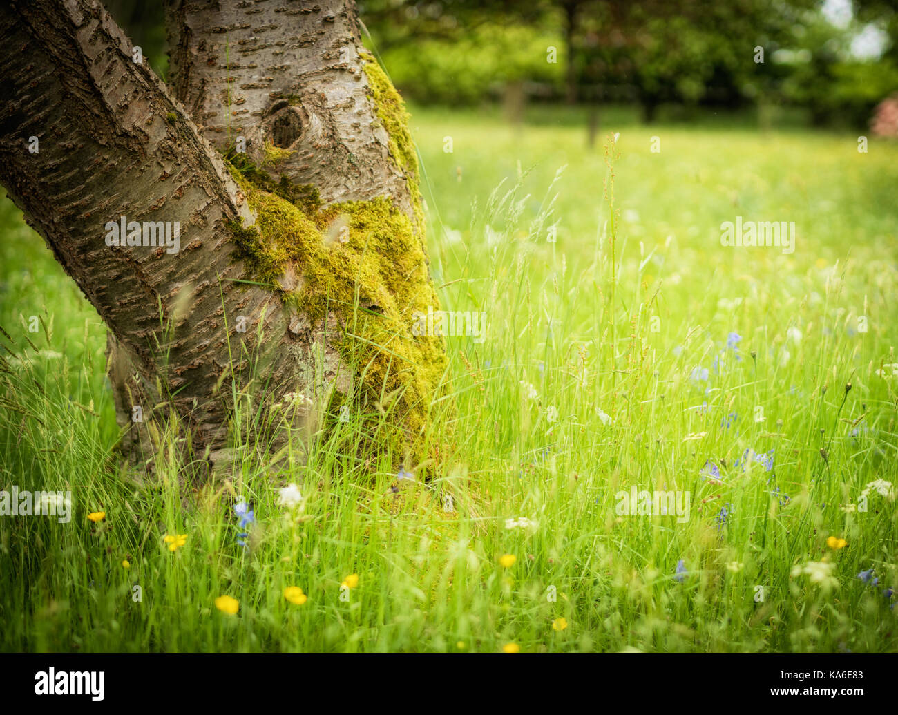 It has been a cold, wet and windy start to June... very cold, wet and ...