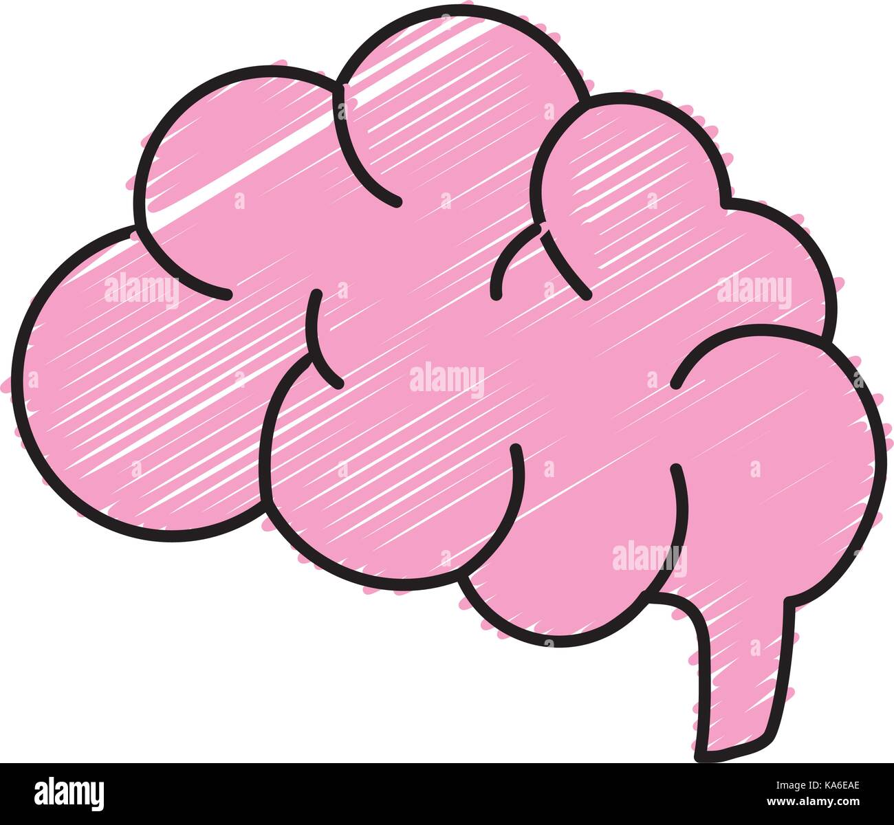 side brain human anatomy organ of inteligence Stock Vector Image & Art ...